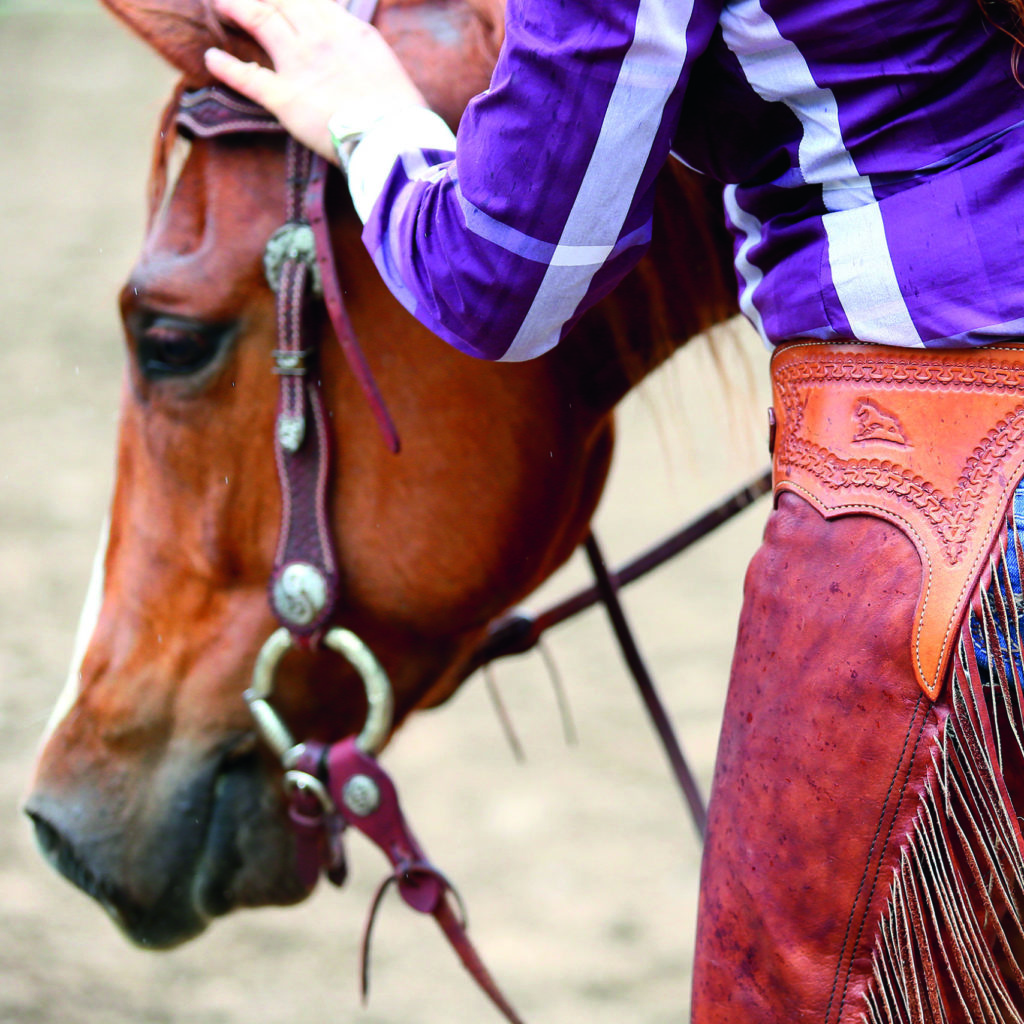 Was braucht mein Westernpferd auf dem Turnier? - Quarter Horse Journal