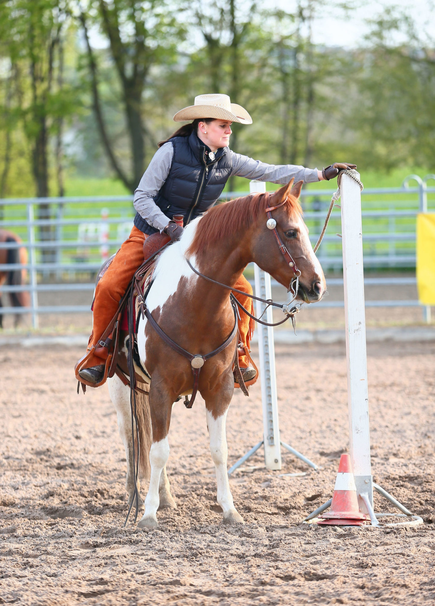 Der Ranch Trail - Quarter Horse Journal