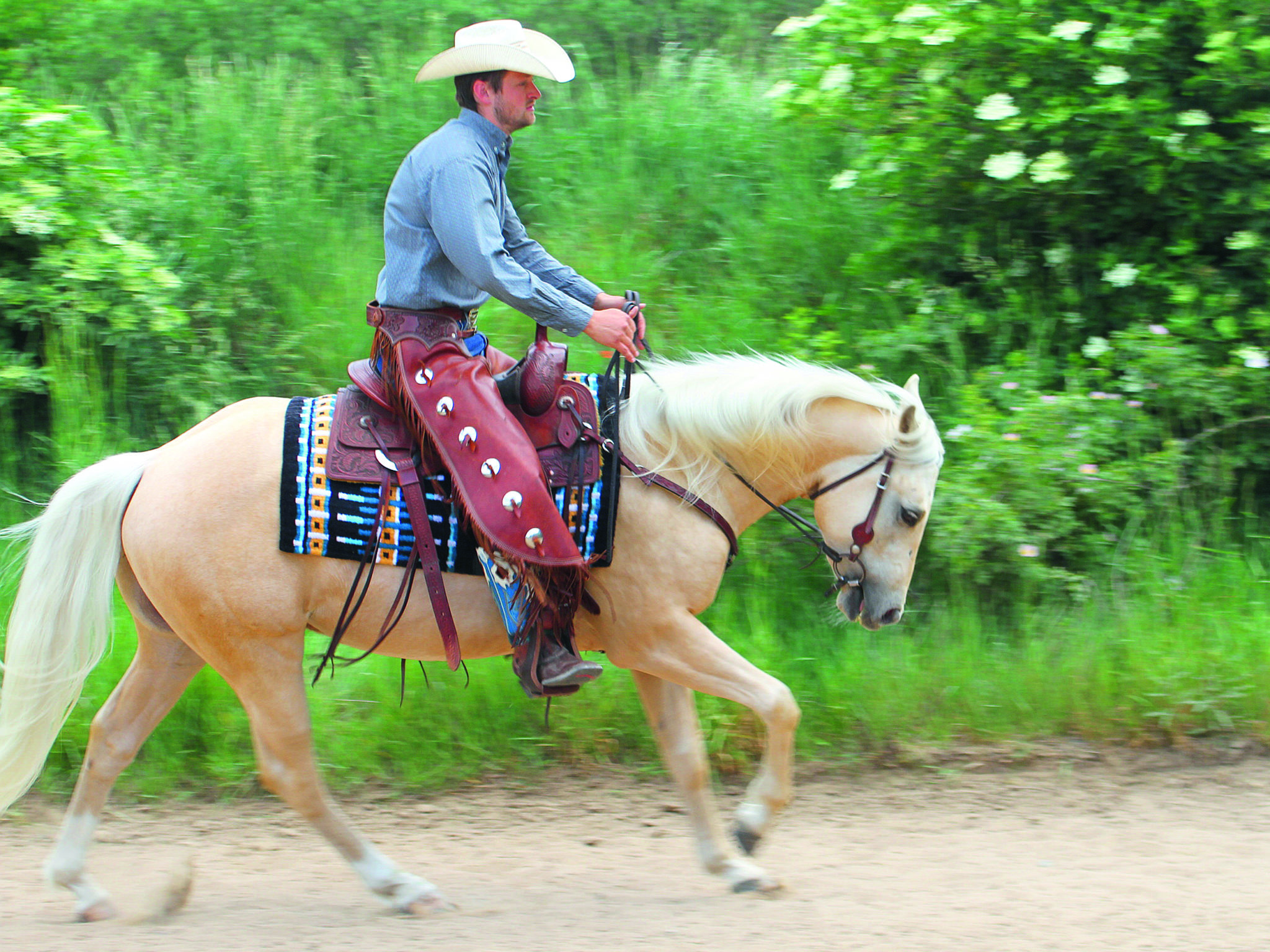 So meistern Sie die Ranch Riding - Quarter Horse Journal
