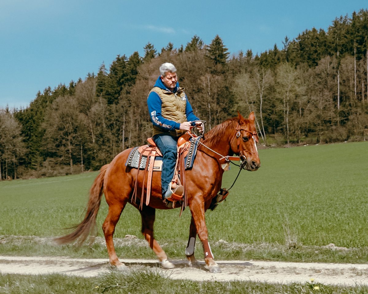Geländetraining mit Bernd Hackl - Quarter Horse Journal