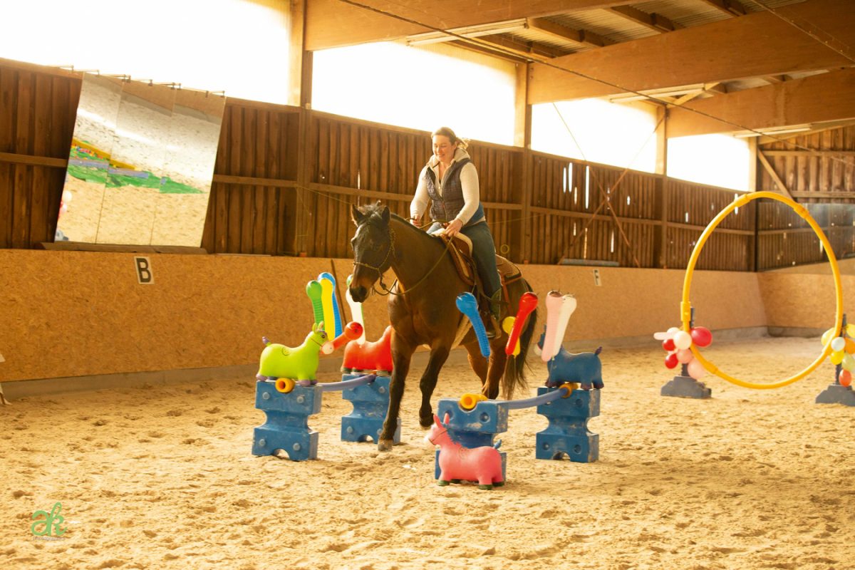 Horse Agility - Quarter Horse Journal